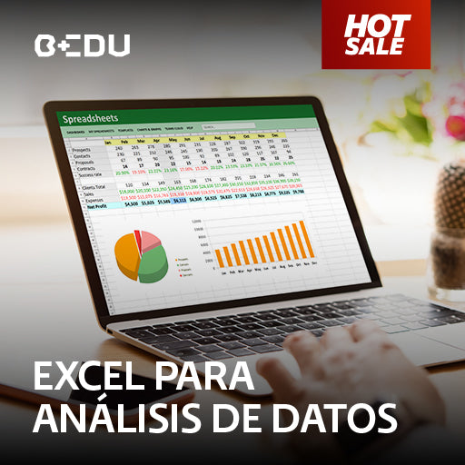Curso de Excel para análisis de datos – Alianza Educativa
